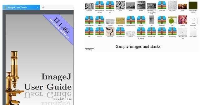 超详细！ImageJ局部放大动图、时间序列图像分析_【快资讯】