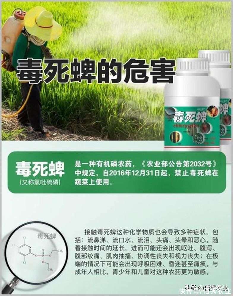 5斤芹菜被罚6.6万元！残留农药毒死蜱，其实早已禁止在蔬菜上使用_【快资讯】