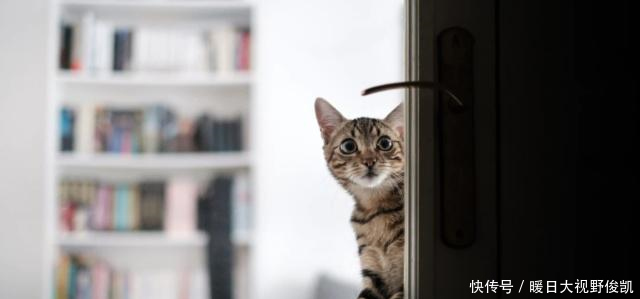 raise，rise，arise，arouse究竟有什么区别四词完全辨析！_【快资讯】