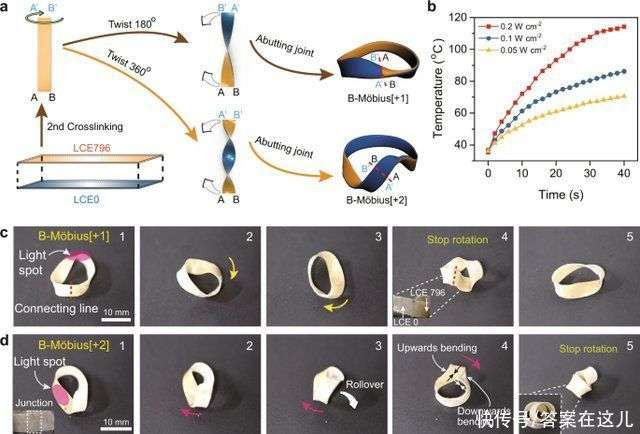 我们能造出莫比乌斯环，却无法造出克莱因瓶，真正的原因是什么?_【快资讯】