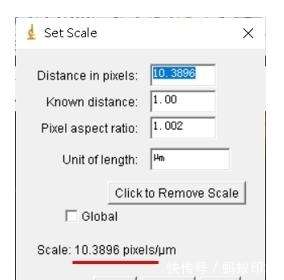 超详细！ImageJ局部放大动图、时间序列图像分析_【快资讯】