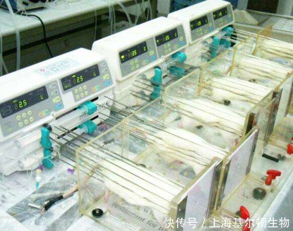 老年和青年C57BL/6J小鼠外周血及免疫细胞分型测定分析_【快资讯】