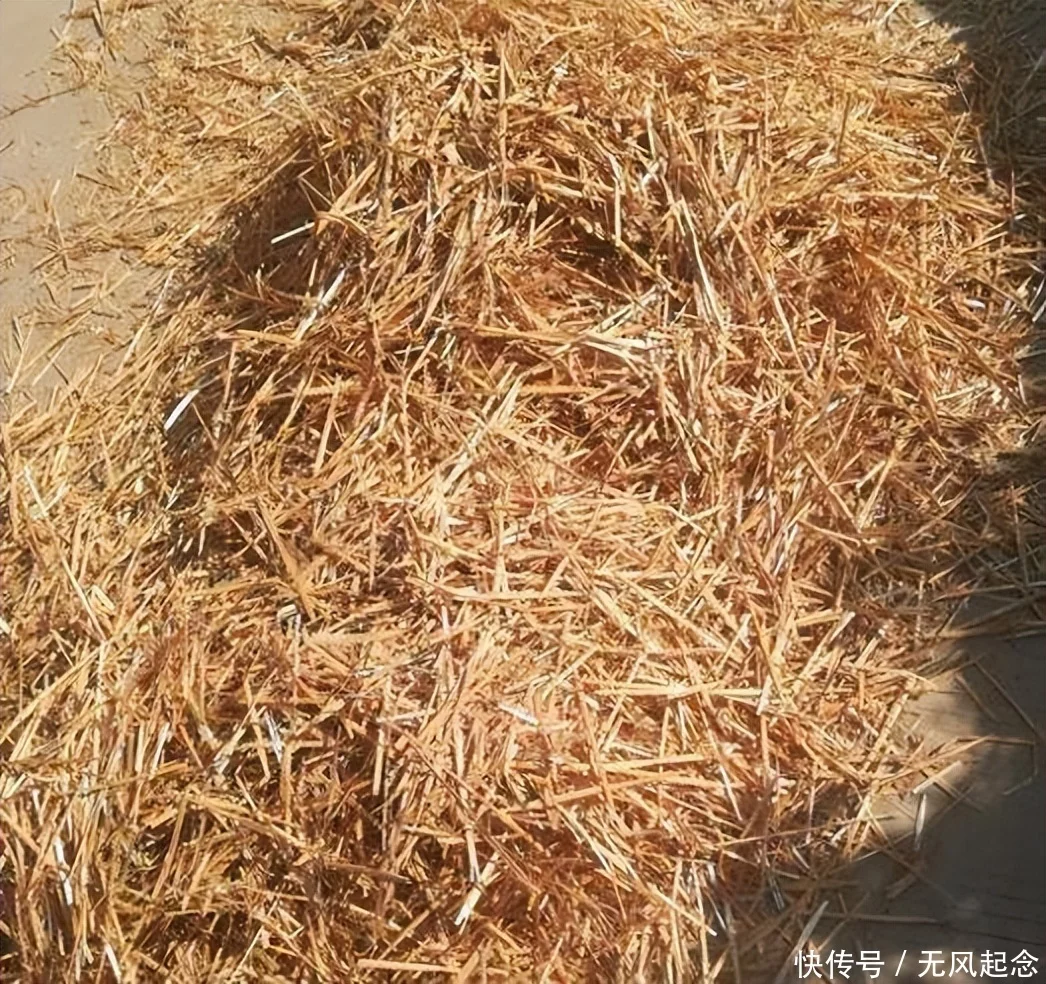 宋朝之前没有棉被，老百姓怎么过冬？ -6park.com