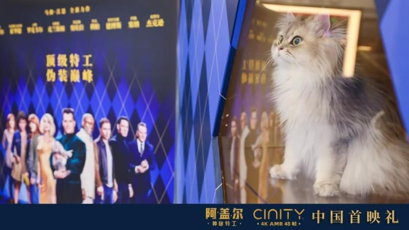 CINITY 48帧电影《阿盖尔：神秘特工》中国首映礼举办 - 360娱乐，你开心就好